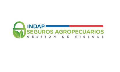 Aula Virtual INDAP